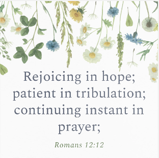 “waiting scripture card set” – Hope & Quill Co.